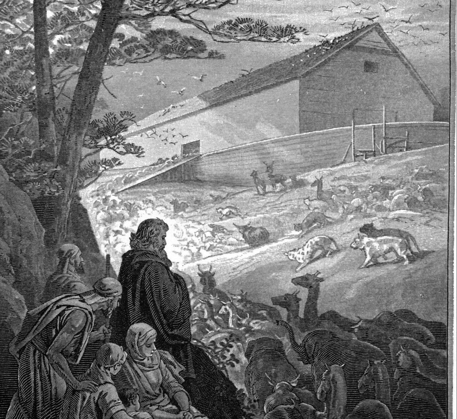Zacharia Noach